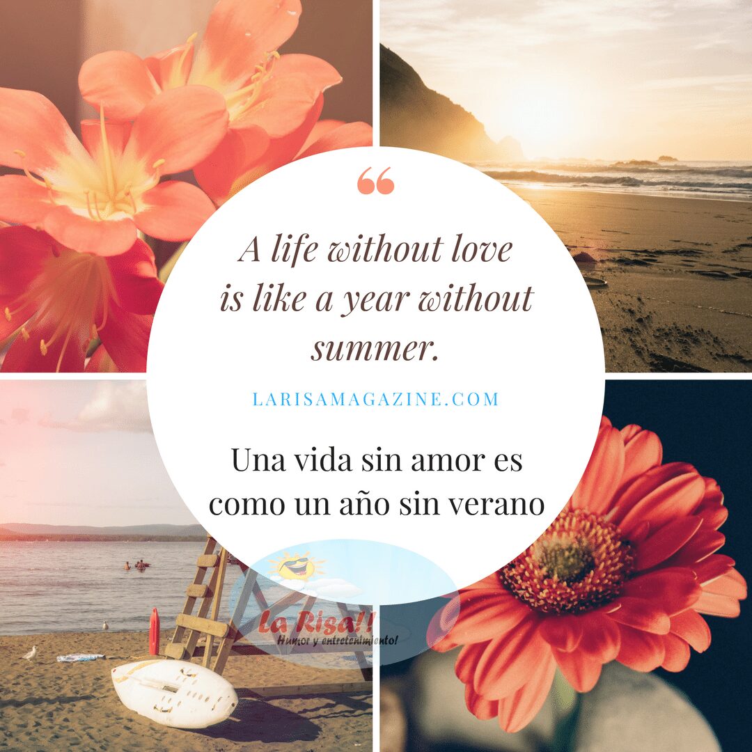 una vida sin amor – La Risa Magazine