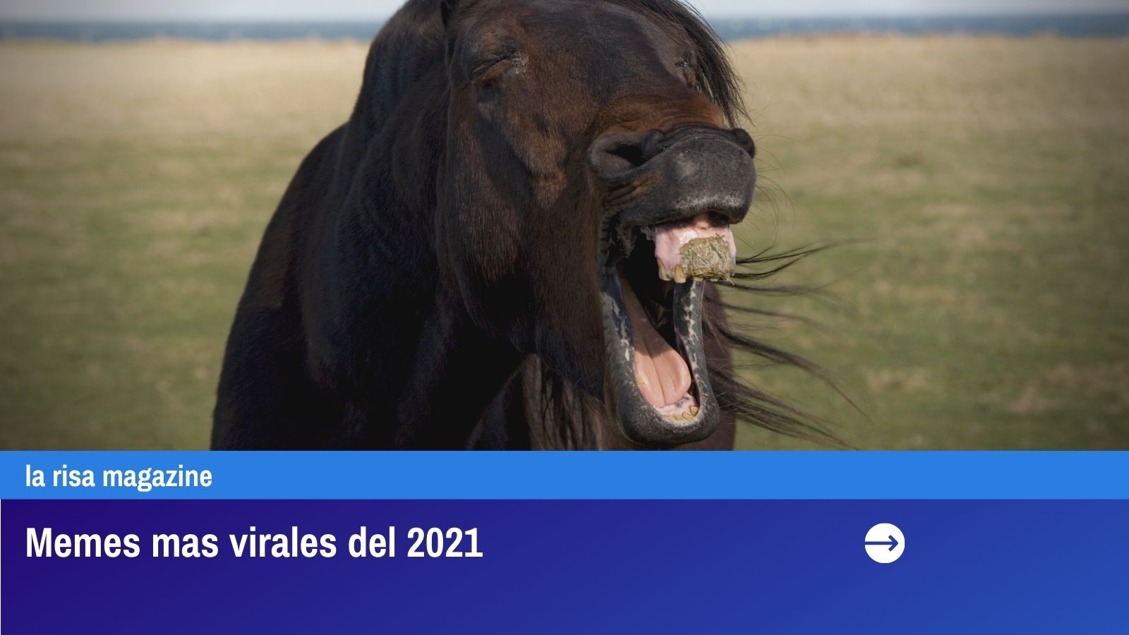 memes_2021_TW – La Risa Magazine